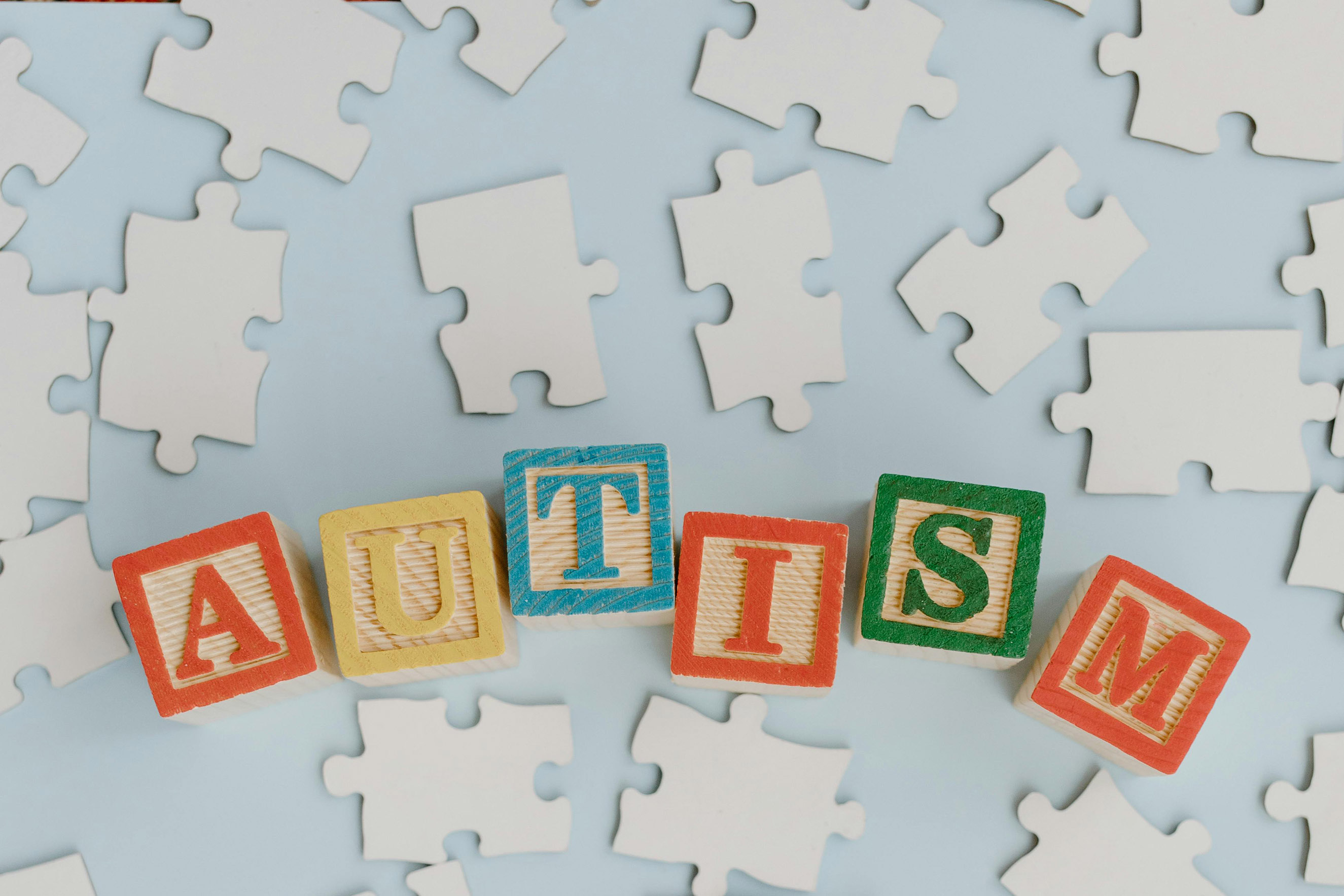 Supporting Individuals with Autism Spectrum Disorder: From ...