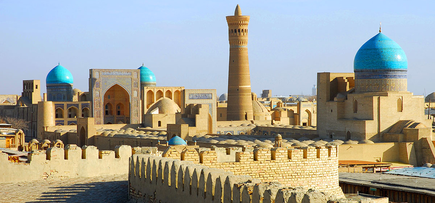 Middle Eastern, Central Asian, and North African Studies