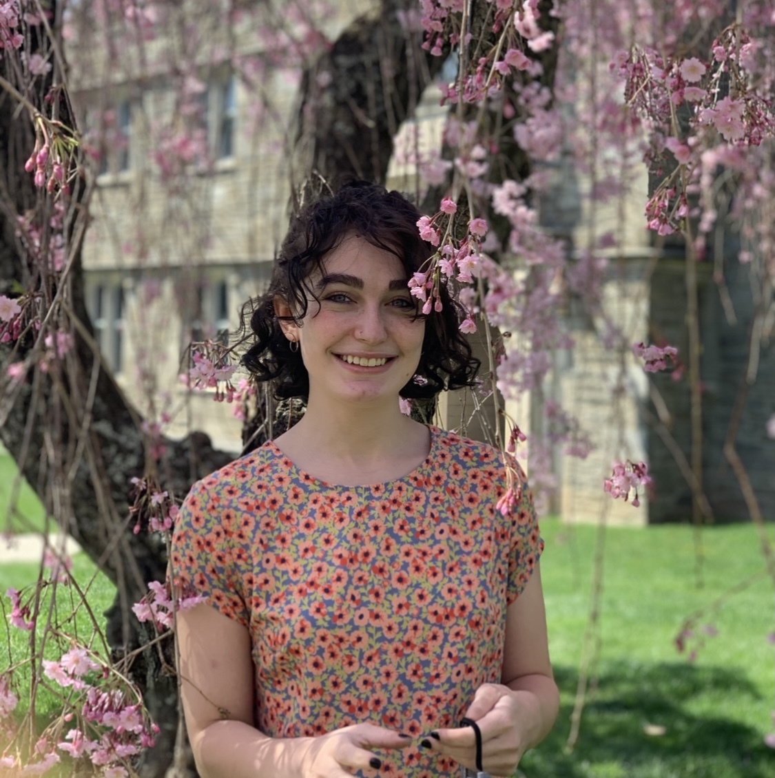 Summer Internship: Emily Shein '22, Holocaust Museum Los Angeles
