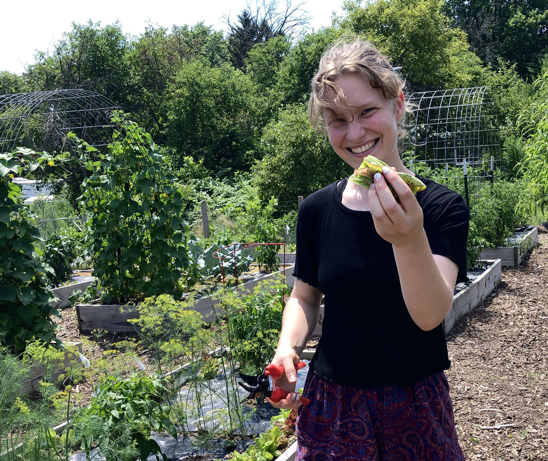 Summer Internship: Zoe Shinefield '22